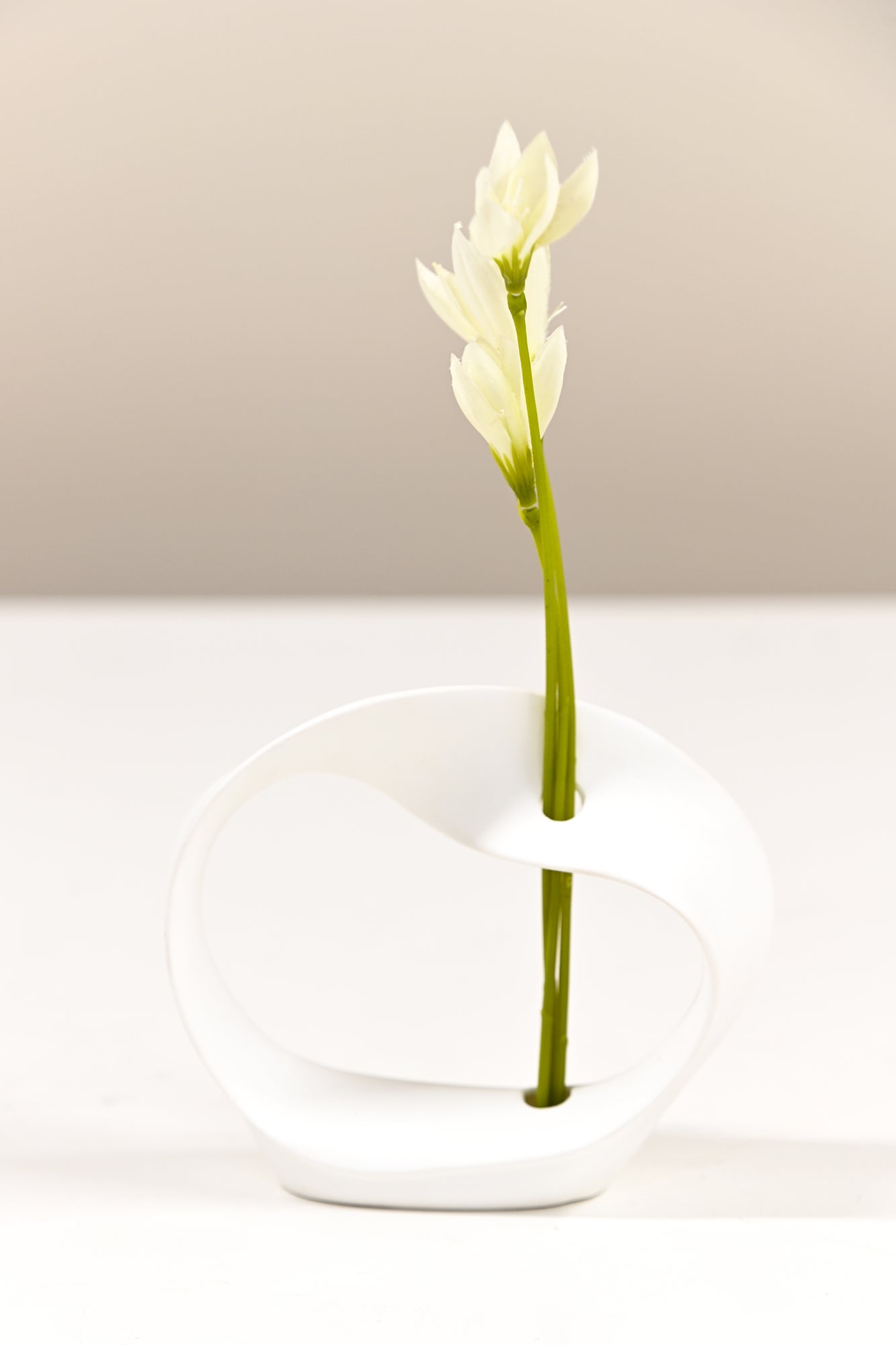 Twisted Ribbon Bud Vase - Maytime