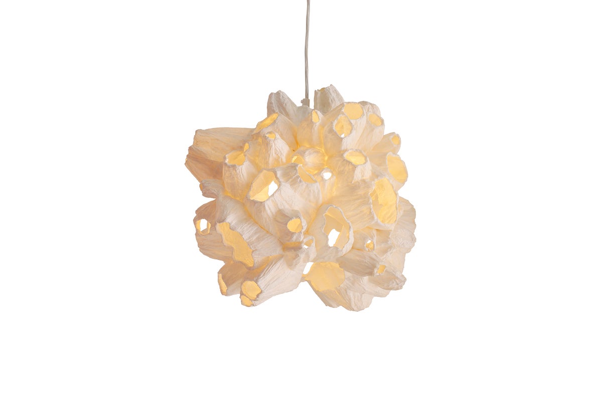 COBONPUE Barnacle Hanging Light Small - Cream - Maytime